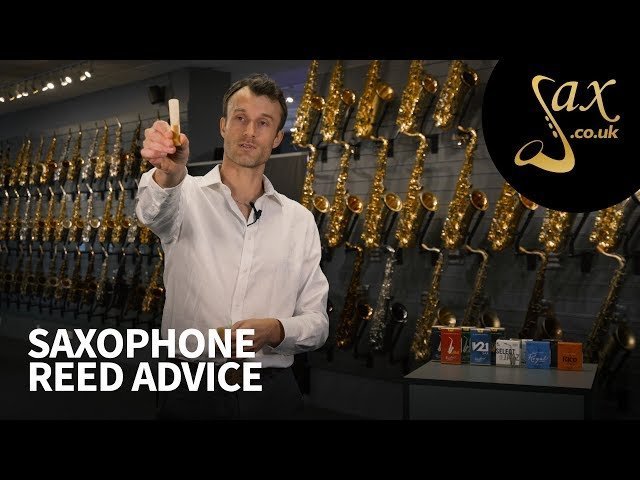 Free Video: Saxophone Reed Four-Part Guide from YouTube | Class Central