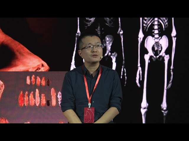 Free Video: Human Language at the Crossroads: The Magic and Miracles of ...