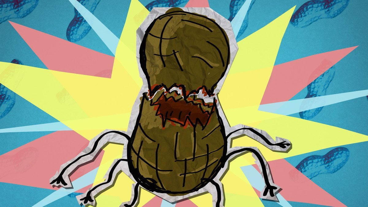 Online Course: After Effects Scripts & Tips: 2 Design Theory ...