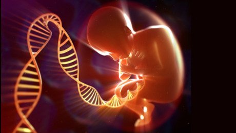 Free Course: Genes and the Human Condition (From Behavior to ...