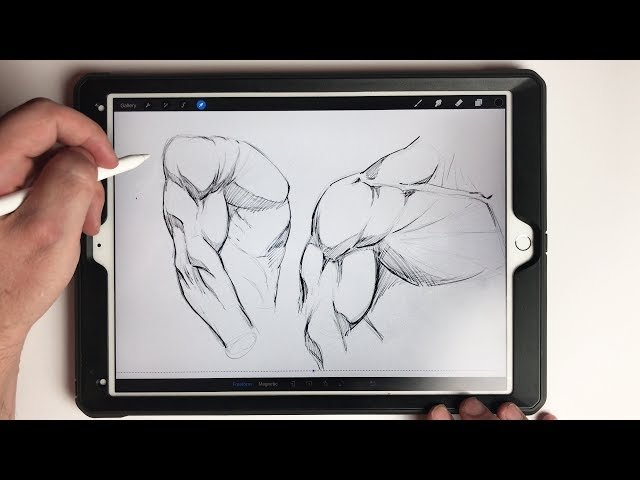 Free Video: How to Draw the Shoulder and Chest Muscles - iPad Pro and ...