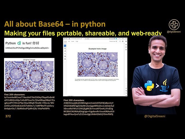 Free Video: All About Base64 - Python Tutorial for Binary Data Encoding from DigitalSreeni ...