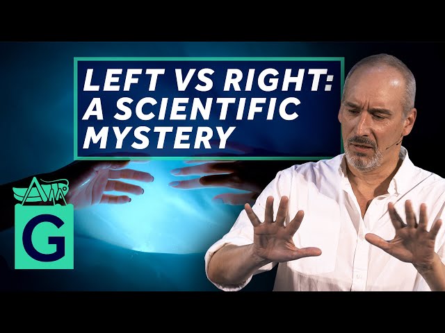 Free Video: The Shape of Hands - Symmetry, Chirality and Handedness ...