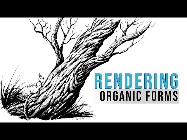 Free Video: Rendering Organic Forms - Line Art Style Tutorial from ...