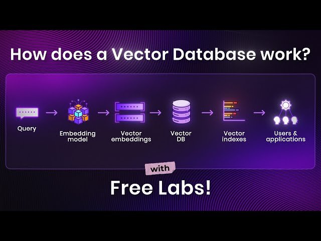Free Video: How Vector Databases Work - AI Search and Semantic Understanding from Kode Kloud ...