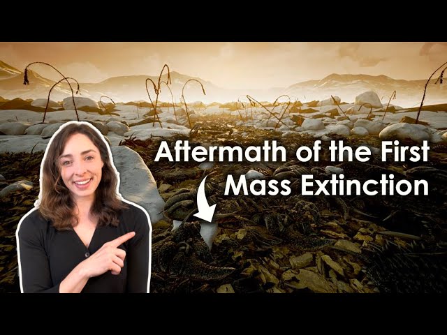 Free Video: Life's Comeback After the First Mass Extinction - Understanding the Ordovician ...