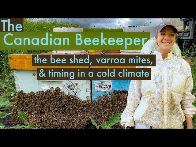 Free Video: The Cold Hard Truth About Beekeeping in Canada - A Beginner ...
